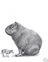 Adonna Khare :: Work :: Visions West Contemporary