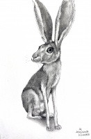 Adonna Khare :: Work :: Visions West Contemporary