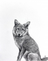 Adonna Khare :: Work :: Visions West Contemporary