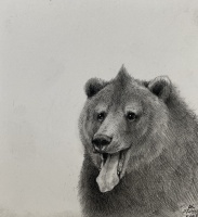 Adonna Khare :: Work :: Visions West Contemporary