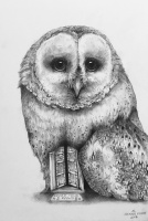 Adonna Khare :: Work :: Visions West Contemporary