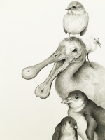 Adonna Khare :: Work :: Visions West Contemporary